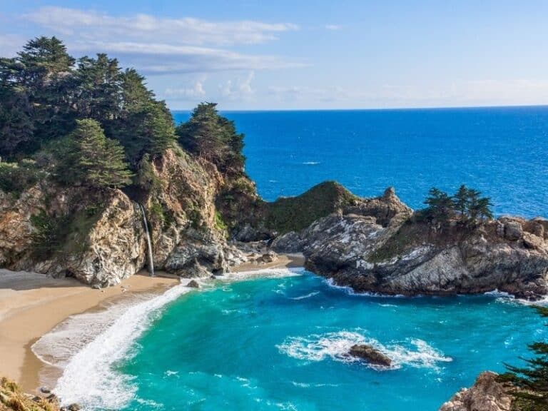 55 Avo-Lutely Fantastic California Puns - California Crossroads