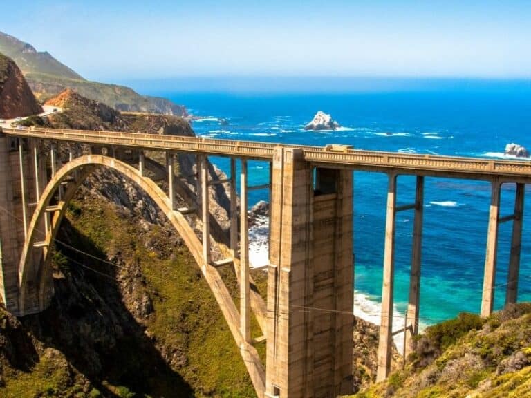 55 Avo-Lutely Fantastic California Puns - California Crossroads