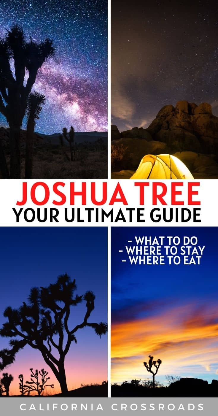 Best Things to Do in Joshua Tree National Park: Guide + Insider Tips ...