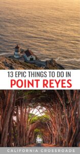 13 Things to Do in Point Reyes: Complete Travel Guide + Tips ...