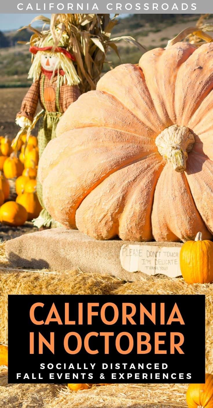 California in October: 17 Fun Fall Activities to Do This Year ...