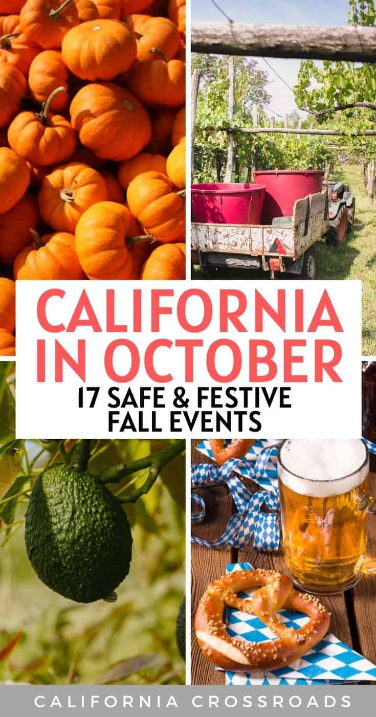 California in October: 17 Fun Fall Activities to Do This Year ...