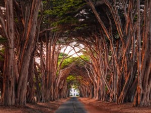 13 Things to Do in Point Reyes: Complete Travel Guide + Tips ...