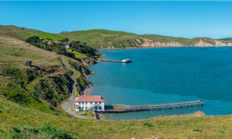 13 Things to Do in Point Reyes: Complete Travel Guide + Tips ...