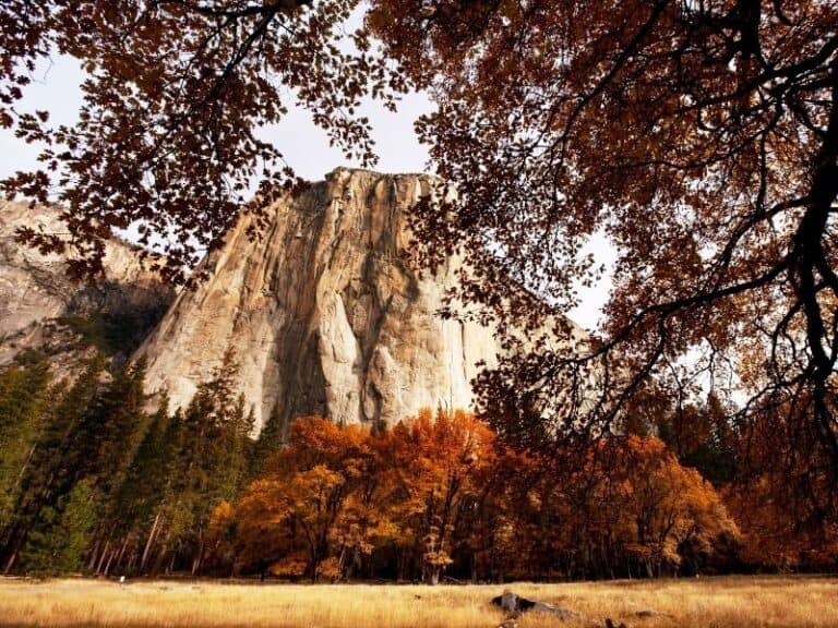30 Essential Things to Know Before Visiting Yosemite in Fall (Including ...