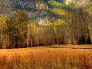30 Essential Things to Know Before Visiting Yosemite in Fall (Including ...