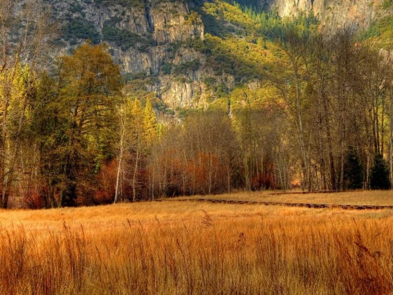 30 Essential Things to Know Before Visiting Yosemite in Fall (Including ...