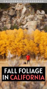 23 Best Places for Fall Foliage in California - California Crossroads