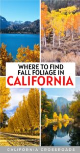 23 Best Places for Fall Foliage in California - California Crossroads