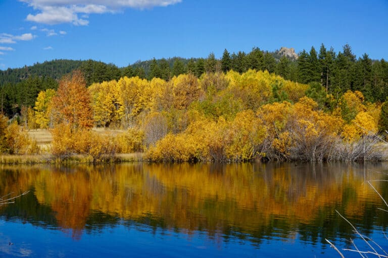 23 Best Places for Fall Foliage in California - California Crossroads