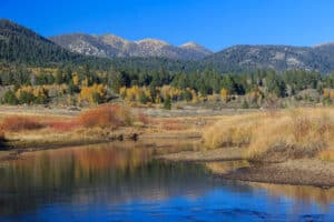 23 Best Places for Fall Foliage in California - California Crossroads