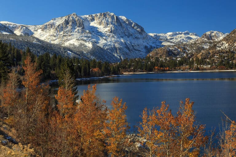23 Best Places for Fall Foliage in California - California Crossroads