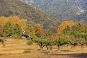 23 Best Places for Fall Foliage in California - California Crossroads