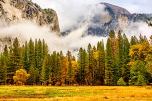 23 Best Places for Fall Foliage in California - California Crossroads