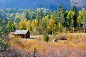 23 Best Places for Fall Foliage in California - California Crossroads