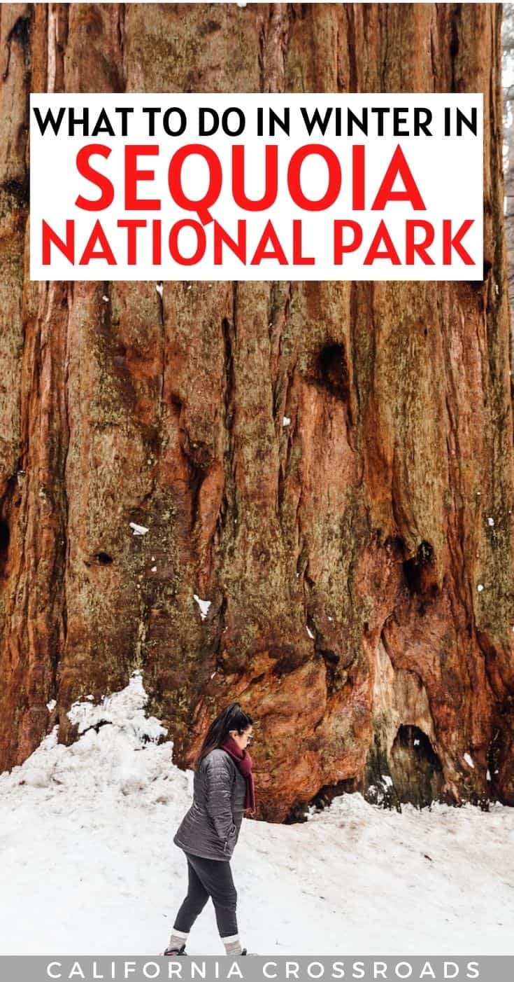 17 Useful Things to Know Before Visiting Sequoia National Park in ...
