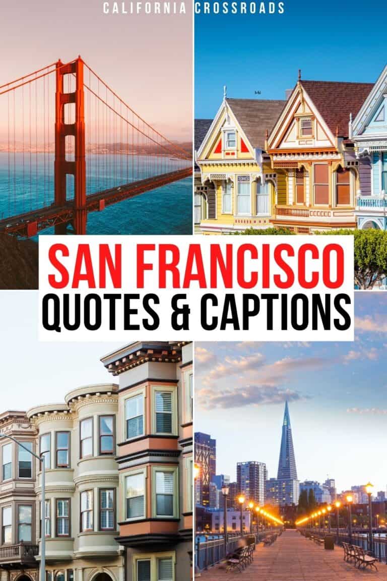 75 Fantastic San Francisco Quotes & Instagram Captions - California ...