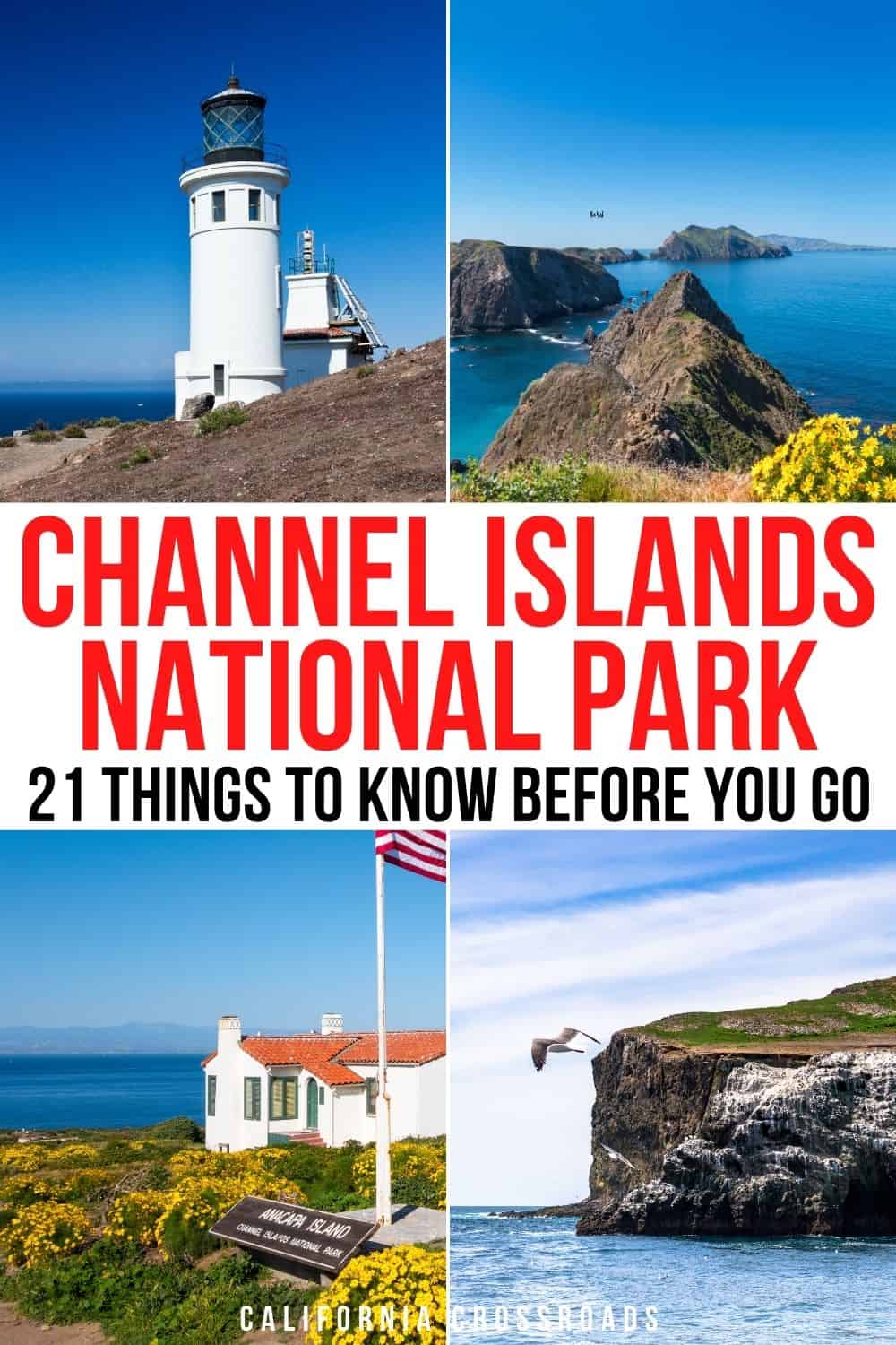Visiting Channel Islands National Park: 21 Things to Know Before You Go ...