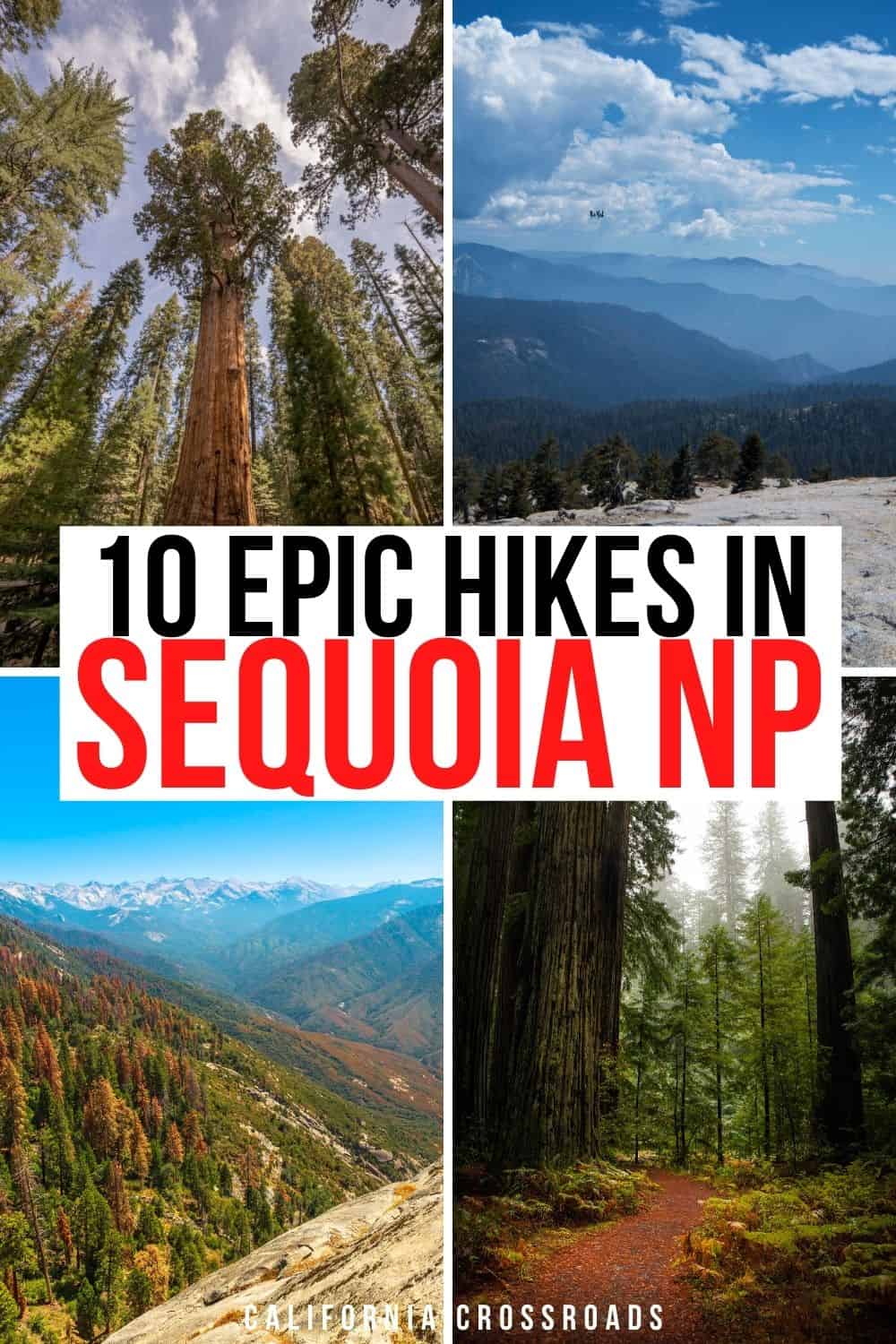 The 17 Best Hikes in Sequoia National Park - California Crossroads