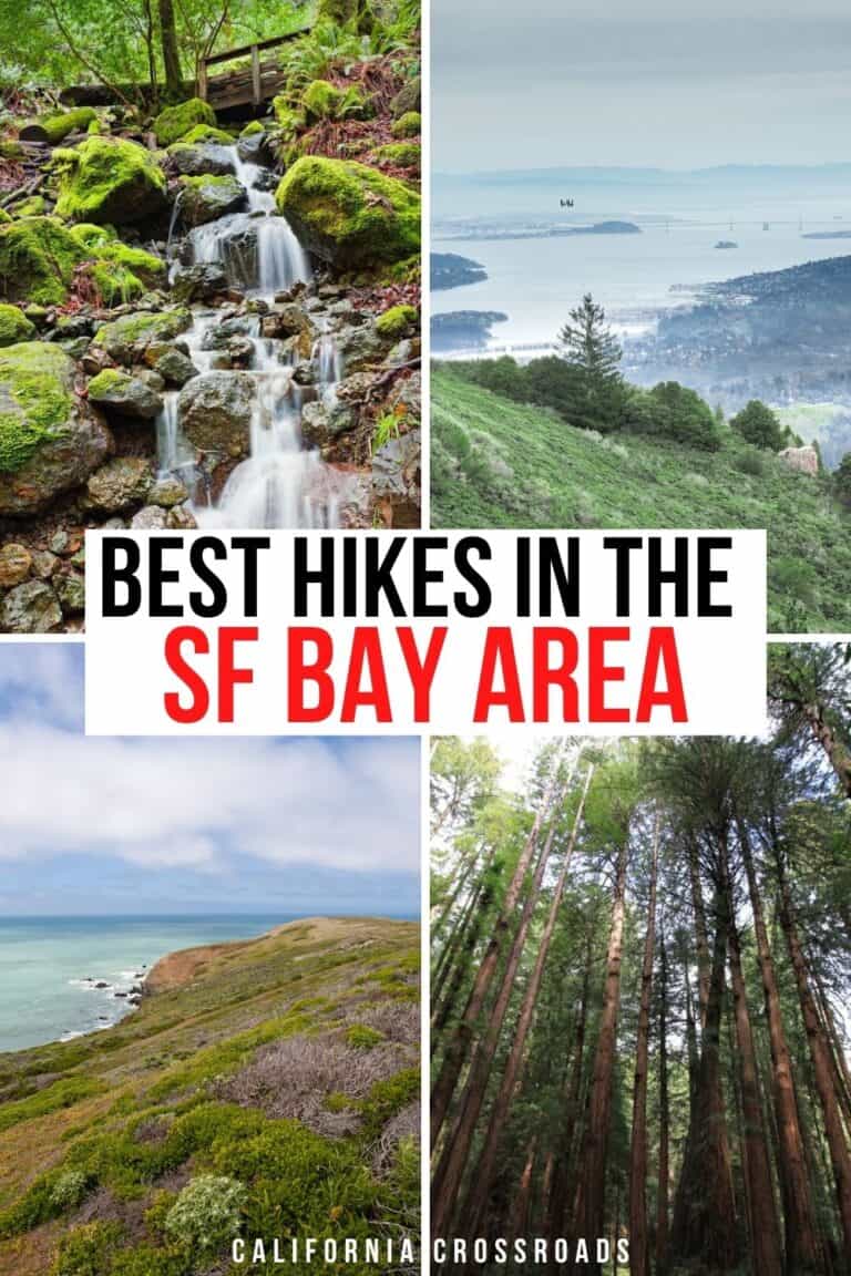 The 12 Best Bay Area Hikes Near San Francisco (North + South Bay ...