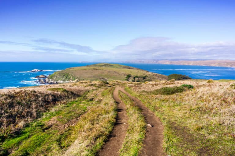 The 8 Best Hikes in Point Reyes National Seashore - California Crossroads