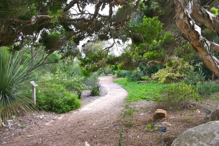 21 Exciting Things to Do in Encinitas, CA - California Crossroads