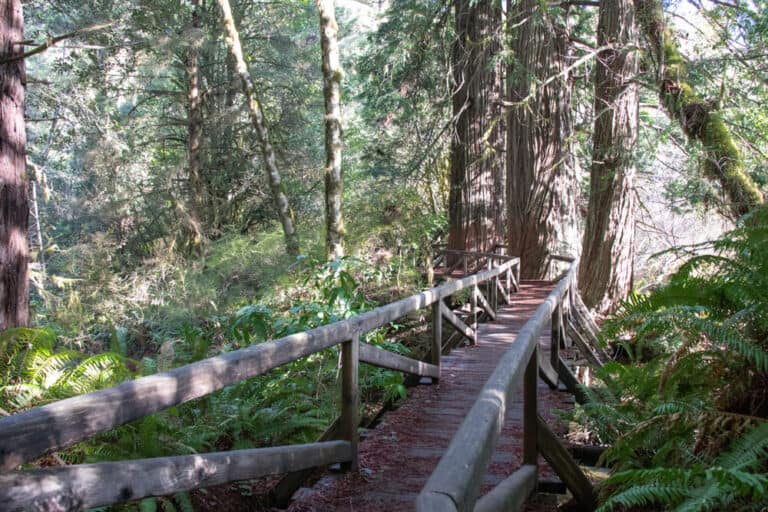 17 Best Hikes in California for All Levels of Hikers - California ...
