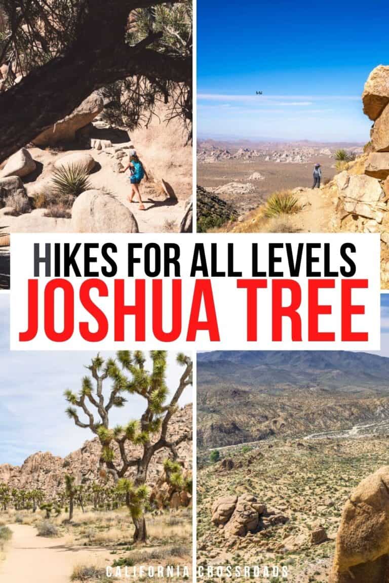 The 8 Best Hikes in Joshua Tree National Park - California Crossroads