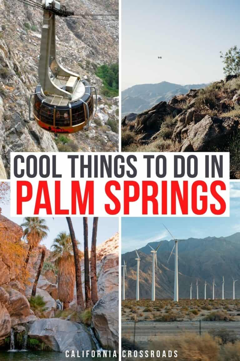 17 Perfect Things to Do in Palm Springs - California Crossroads