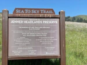 9 Joyful Things to Do in Jenner, CA - California Crossroads