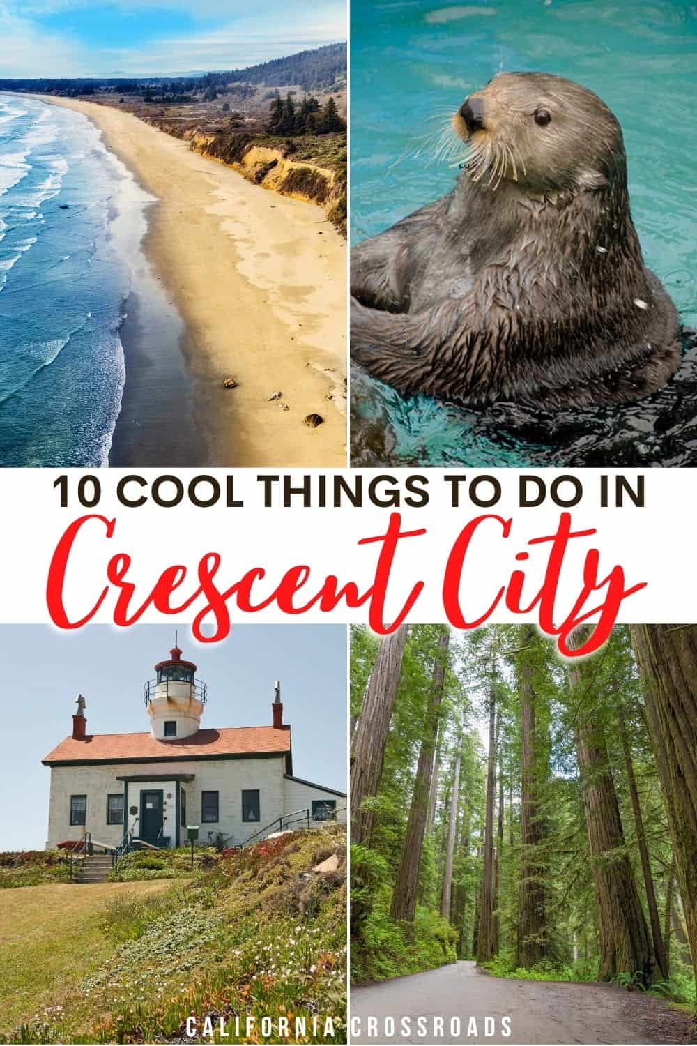 10 Creative Things to Do in Crescent City, CA - California Crossroads