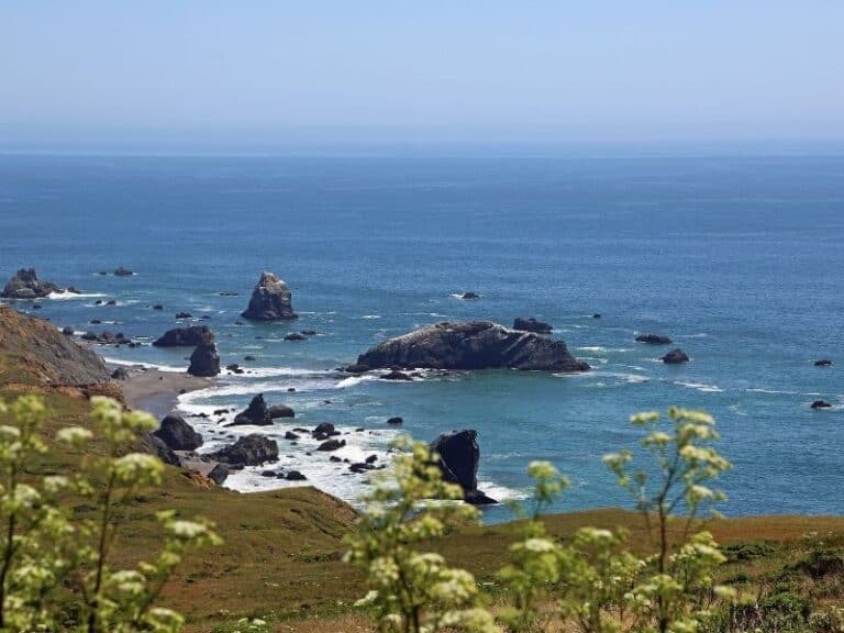 Quick Guide to Sonoma Coast State Park: 9 Best Hikes & Beaches ...