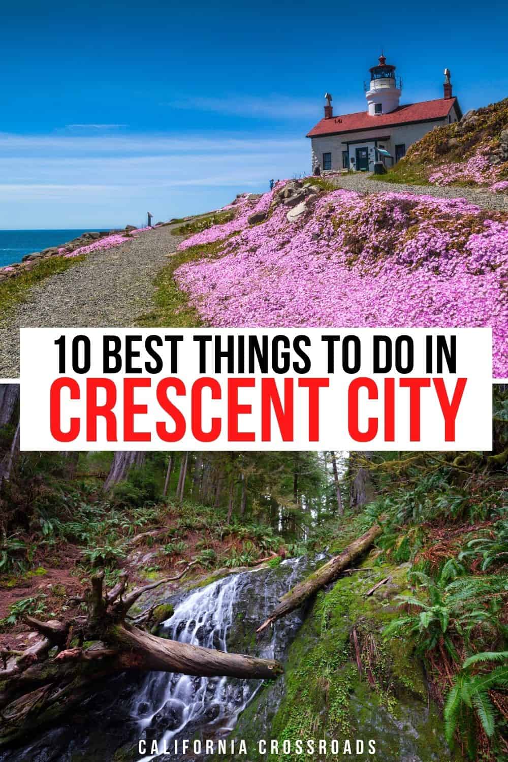 10 Creative Things to Do in Crescent City, CA - California Crossroads