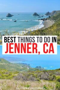 9 Joyful Things to Do in Jenner, CA - California Crossroads