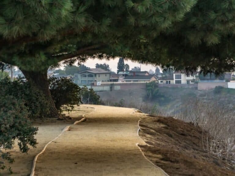 21 Best Hikes in Los Angeles (For All Levels!) - California Crossroads