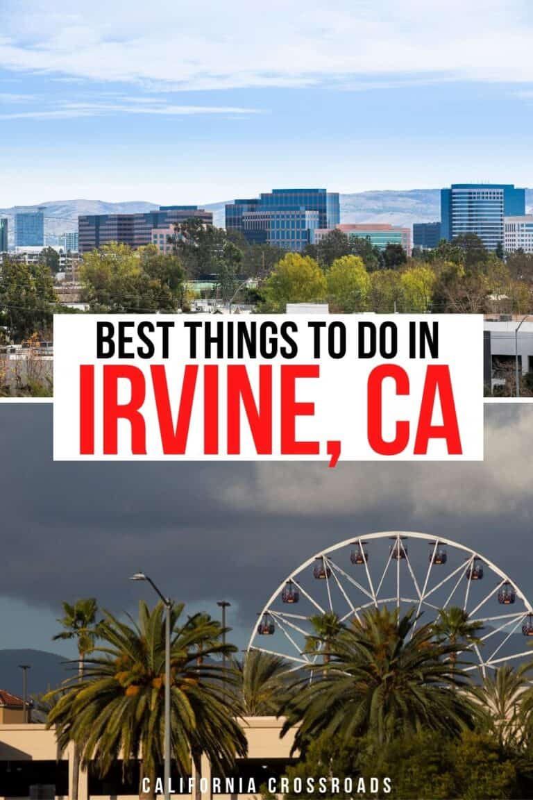 13 Irresistible Things to Do in Irvine, California - California Crossroads