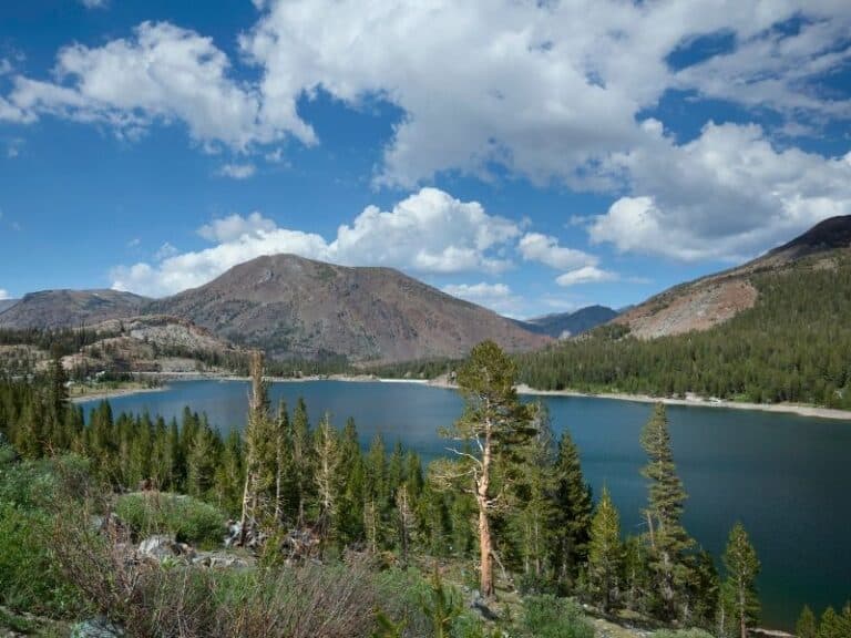 Driving Tioga Pass: 10 Best Stops on Yosemite's Tioga Road - California ...