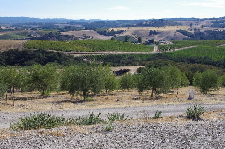 The Perfect Weekend in Paso Robles: Your 2 Day Itinerary - California ...