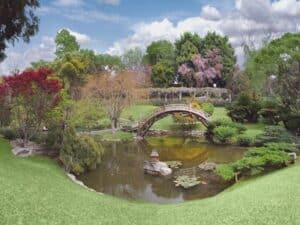 Your Complete Guide to Visiting the Huntington Library and Gardens ...