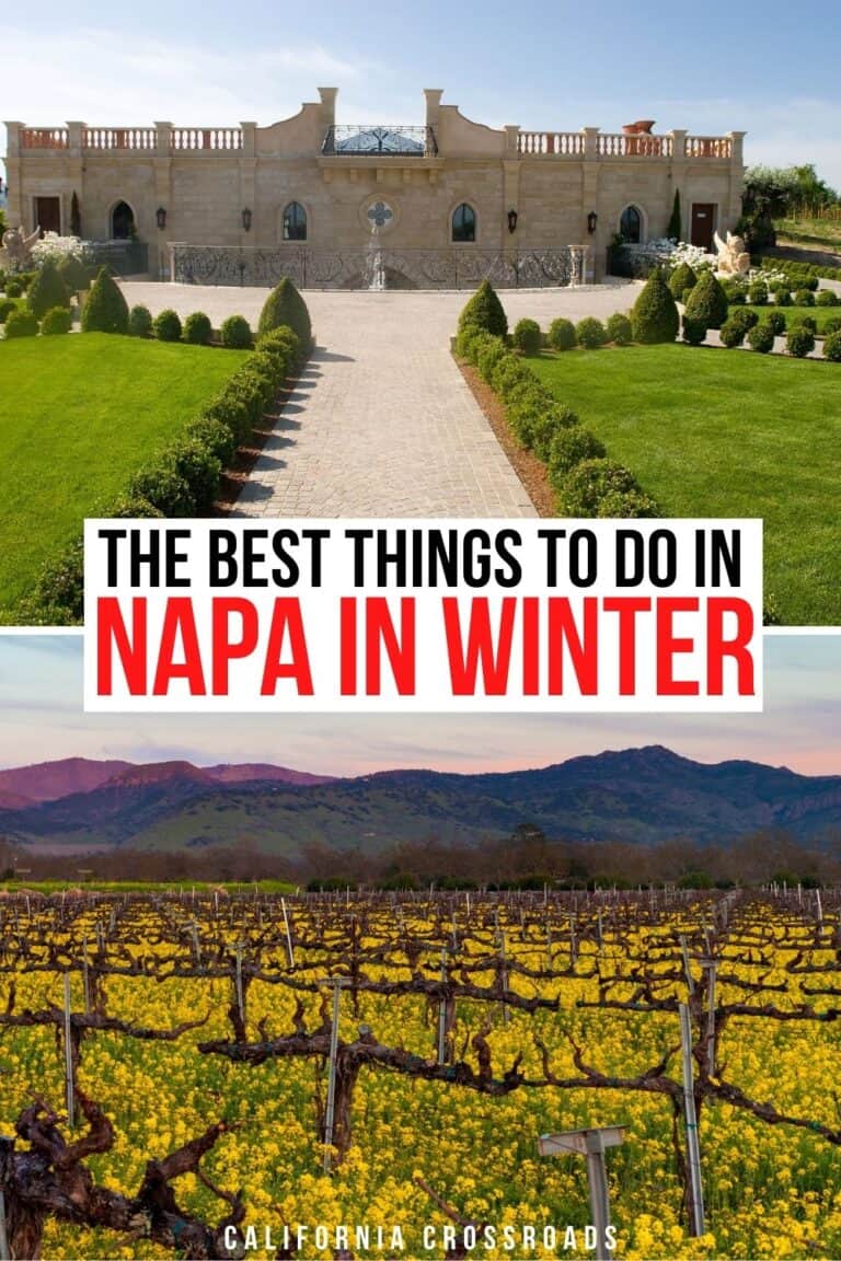 17 Wine-terful Things to Do in Napa in Winter - California Crossroads