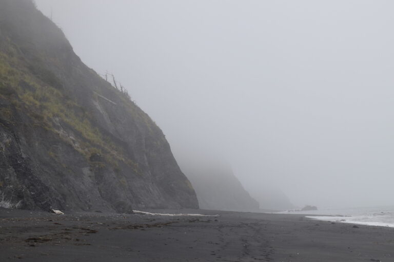 11 Wonderful Things to Do in Shelter Cove, CA - California Crossroads