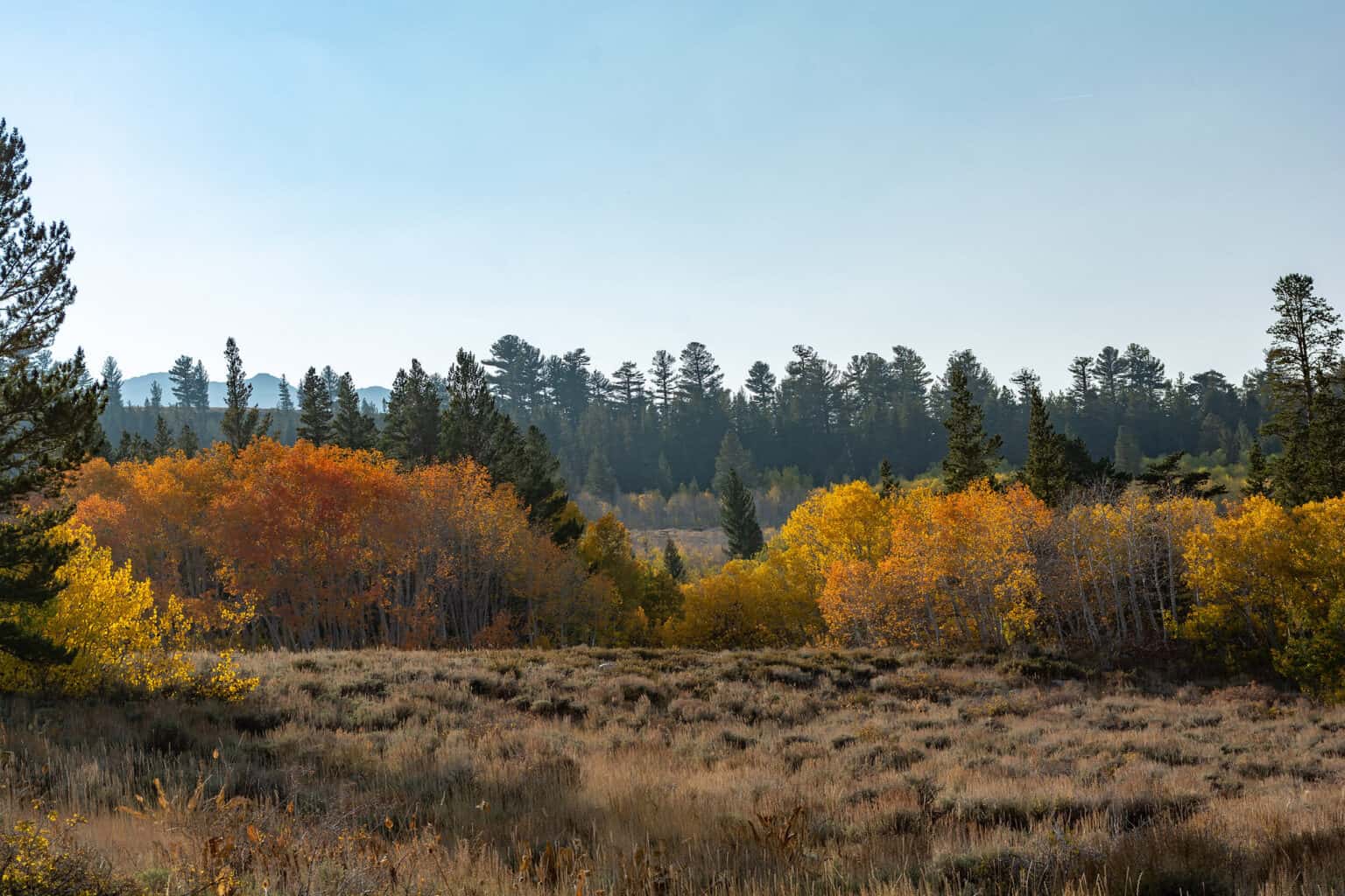 19 Breathtaking Things to Do in Bishop, California (+ Nearby ...