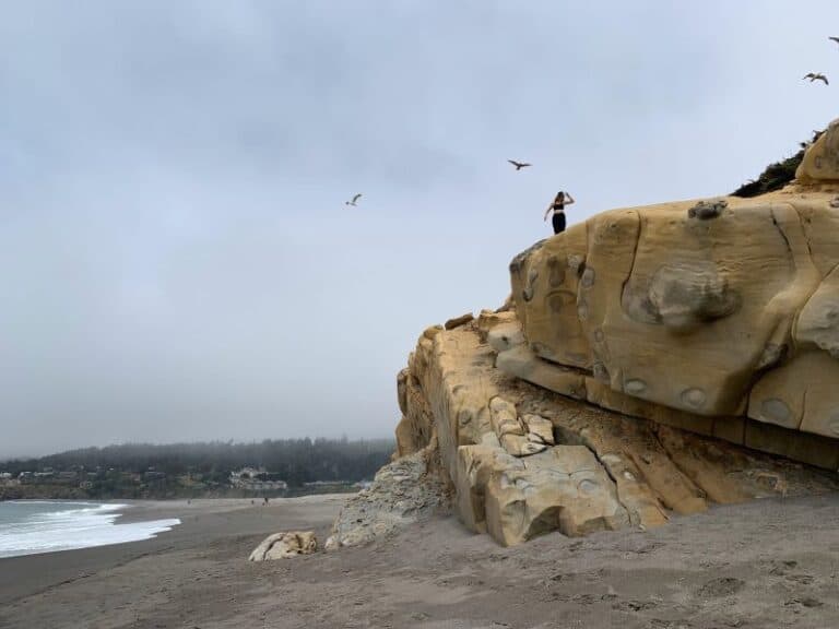 10 Gorgeous Things to Do in Gualala, CA: A Beautiful Stop on Highway 1 ...