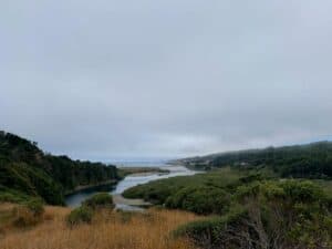 10 Gorgeous Things to Do in Gualala, CA: A Beautiful Stop on Highway 1 ...